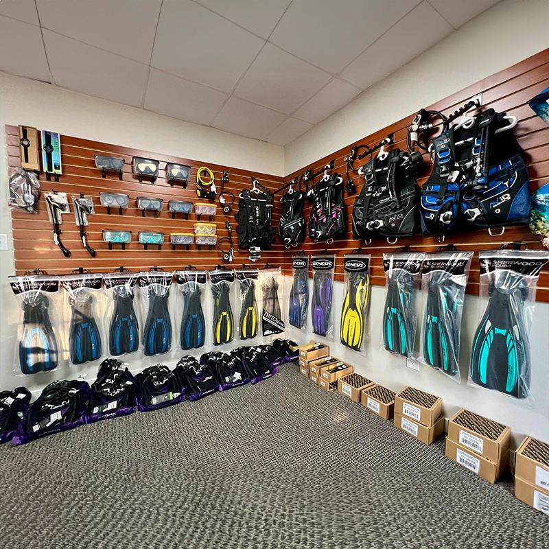 Pickwick Dive Adventures • Wright Realty